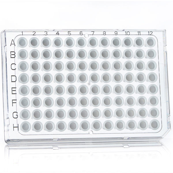 Microplaque pour PCR - 4ti-0954 - Azenta life sciences - 96 puits