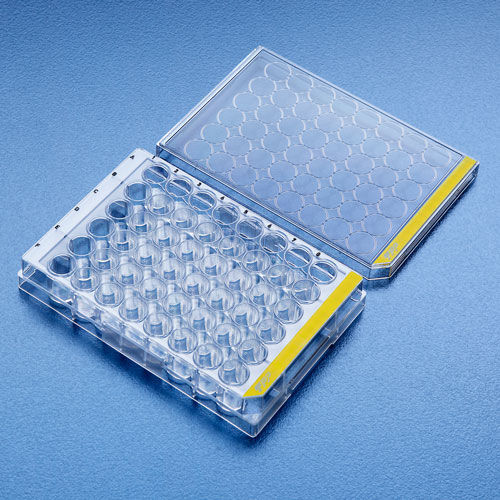 Microplaque de culture tissulaire - TPP - TPP Techno Plastic Products ...