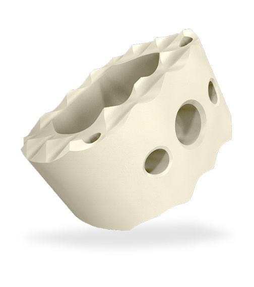 Cage intersomatique cervicale - Stealth™ - ChoiceSpine - voie ...