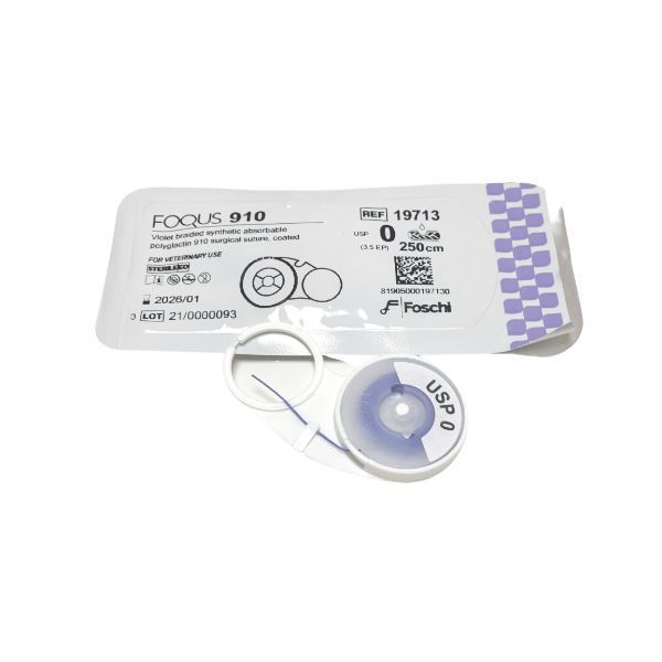 Fil de suture résorbable - Foqus 910 - Foschi - chirurgie vétérinaire