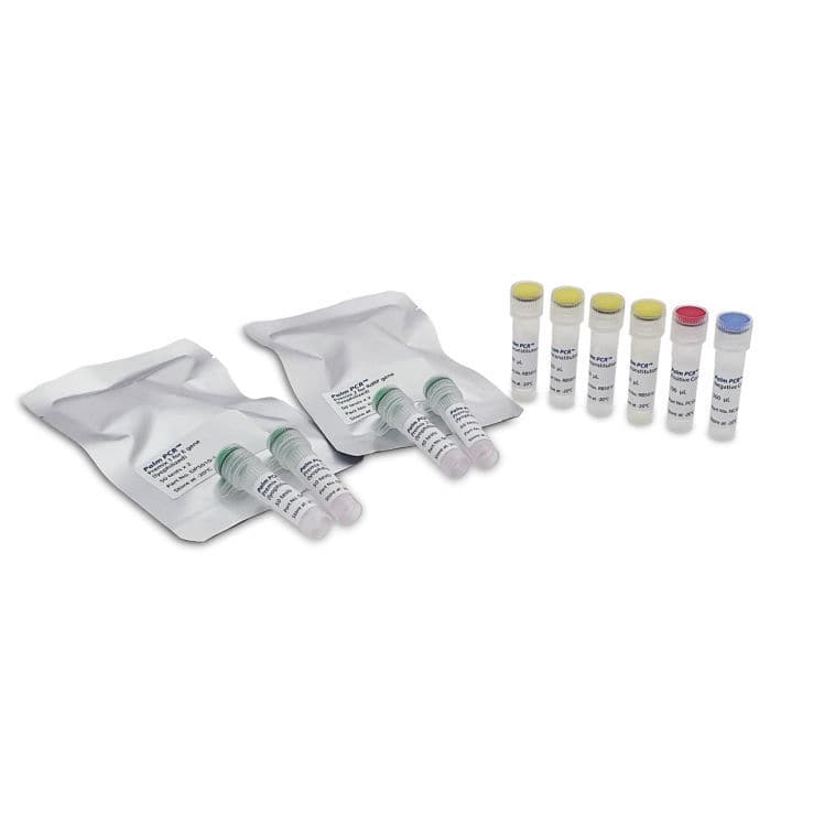 Kit de test pour COVID-19 - Palm PCR™ - Ahram Biosystems, Inc. - SARS ...