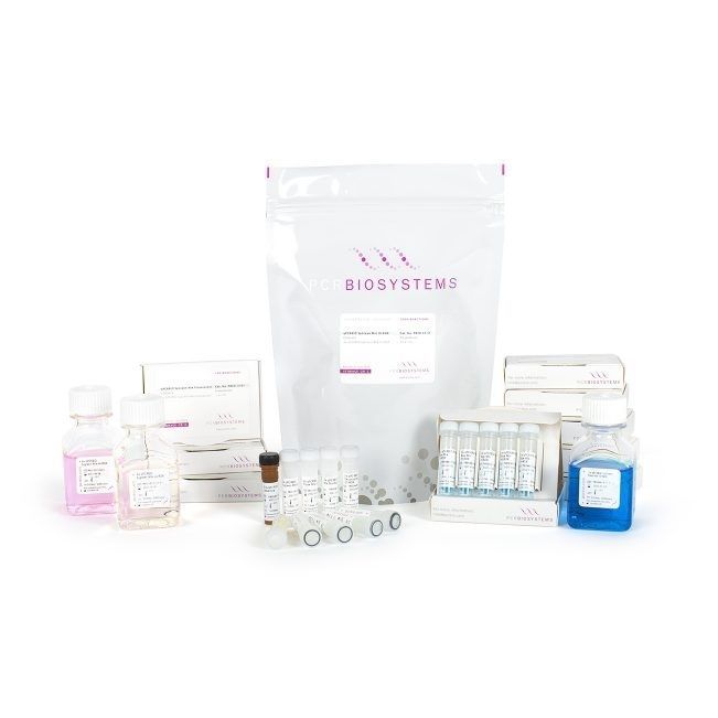 Kit de réactifs ADN polymérase - Clara™ Probe 1-Step Purple Mix - PCR ...