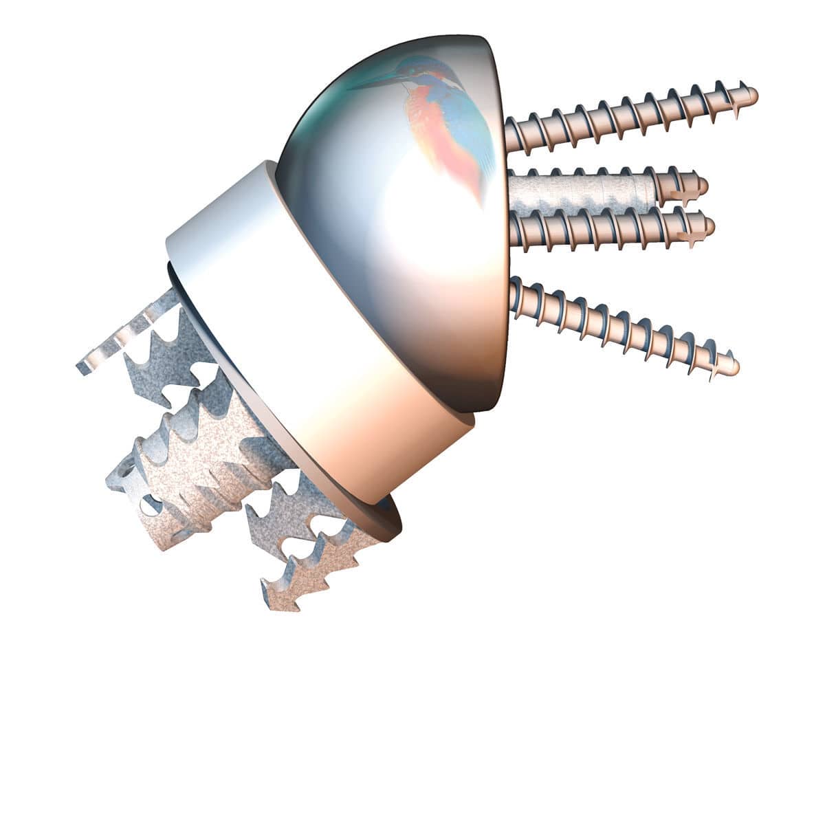 Prothèse de tête humérale inversée - EASYTECH® - FX Solutions - non ...