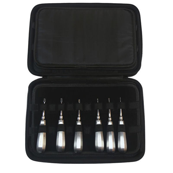Kit d'instruments vétérinaires pour chirurgie dentaire - DS1005-06 ...