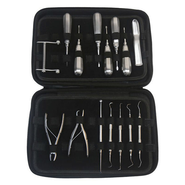 Kit d'instruments vétérinaires pour chirurgie dentaire - DS1001-15 ...