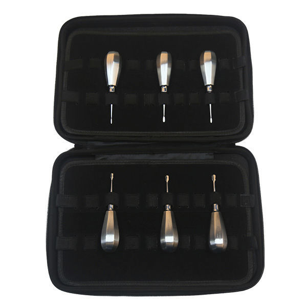 Kit d'instruments vétérinaires pour chirurgie dentaire - DS1006-06 ...