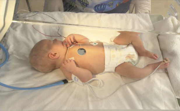 Module de simulation pour échographie - SIMTICS - d'anatomie / pour ...