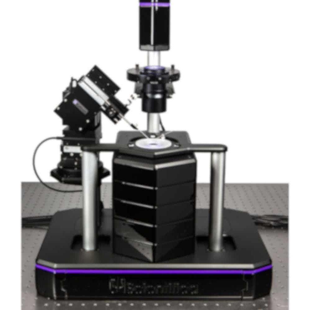 Microscope optique - PatchScope Pro 1000 - Scientifica - pour ...