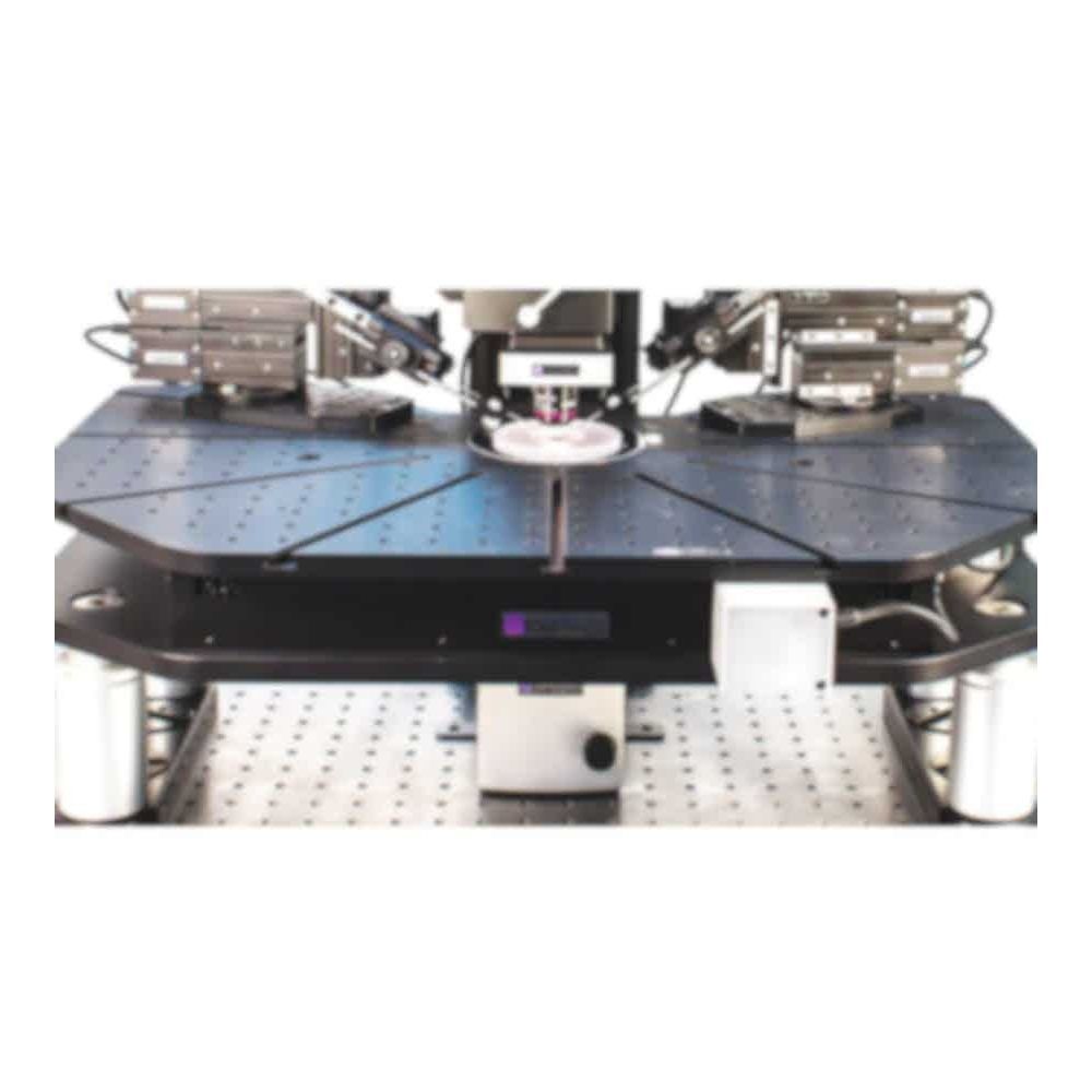 Table de guidage pour microscopes - MMTP - Scientifica - manuelle / de ...