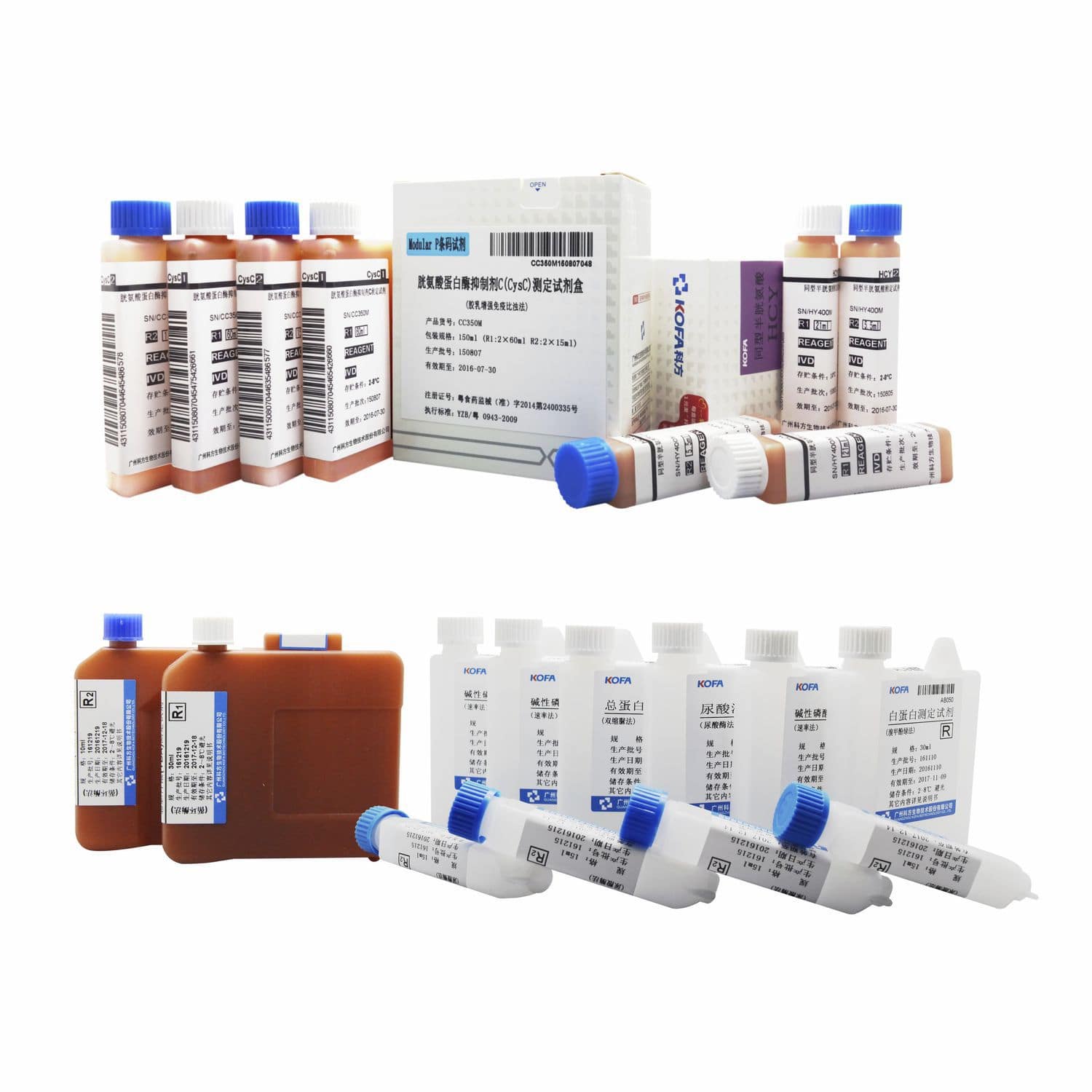 Kit de réactifs en solution - Guangzhou KOFA Biotechnology Co.,Ltd ...
