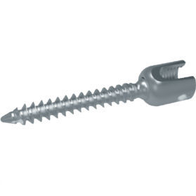 Vis pédiculaire polyaxiale - HG-B5 series - HankilTech Medical - métallique