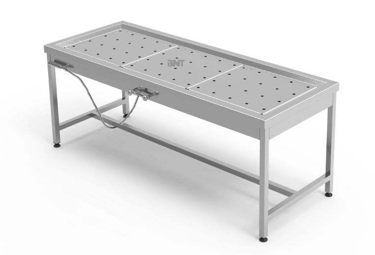 Table de laboratoire - TME2 - BNT - de lavage mortuaire / rectangulaire ...