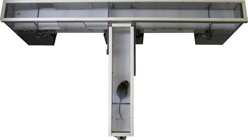 Labyrinthe d'expérimentation en T - Imetronic - pour la recherche ...