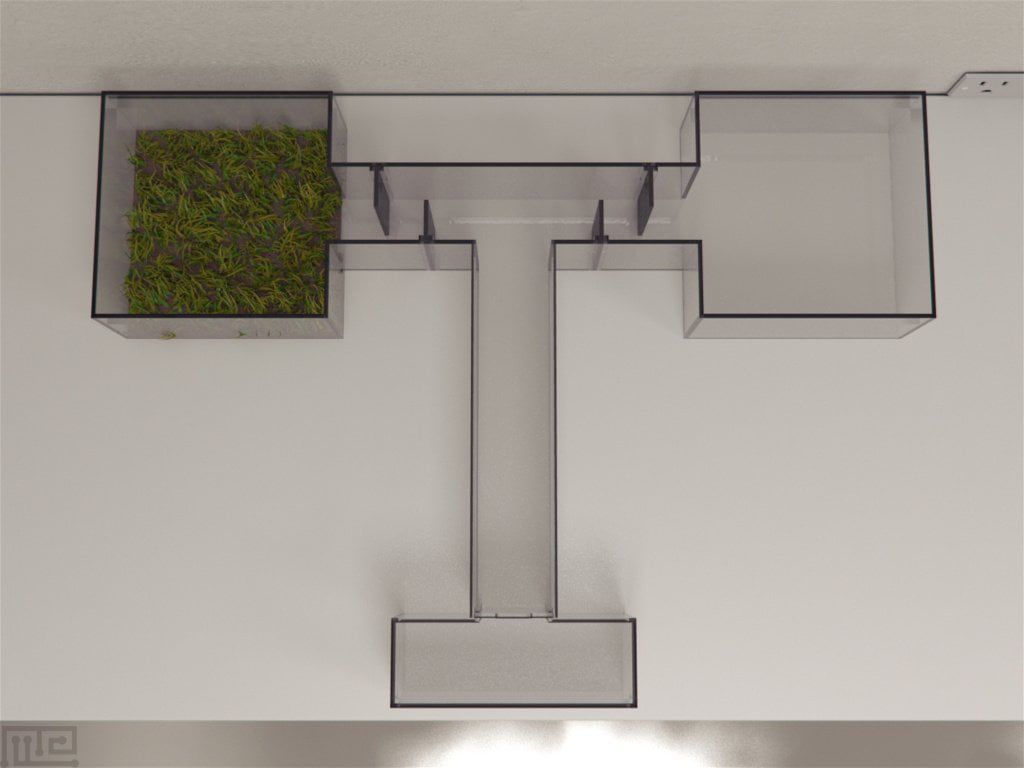 Labyrinthe d'expérimentation en T - Zebrafish Bifurcating ...