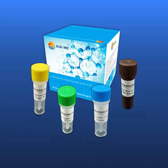 Kit de test pour COVID-19 - HUNAN RUNMEI GENE TECHNOLOGY CO.,LTD - de ...