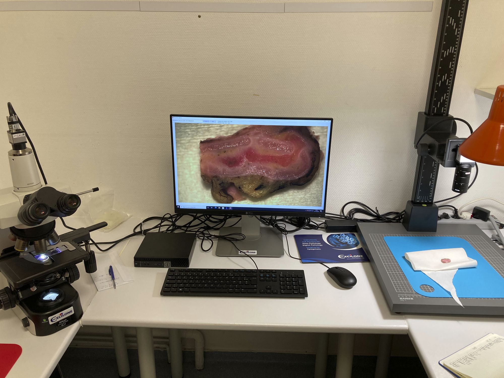 Station d'imagerie macroscopique d'histopathologie - PathScan Macro ...