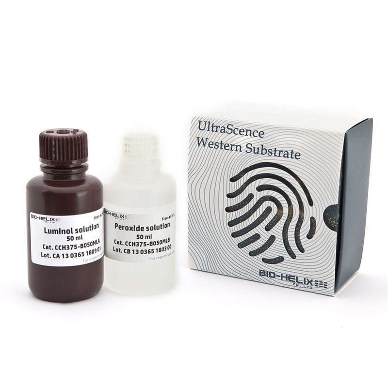 Anticorps - UltraScence Femto Plus - Bio-Helix - antigène / IgG / pour ...