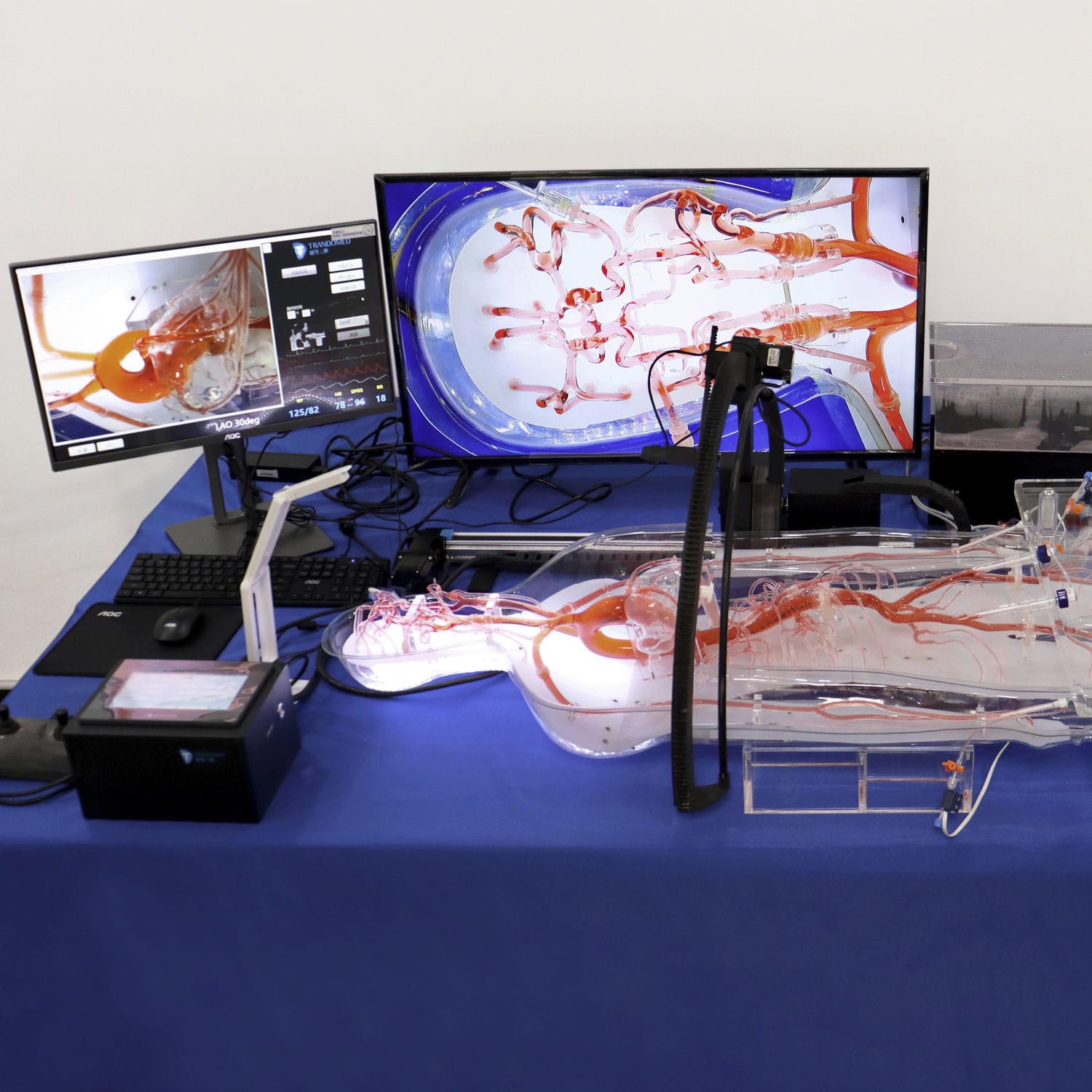 Simulateur pour gastroscopie - EVT011 - Trando 3D Medical Technology ...
