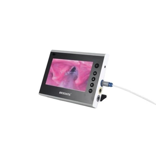 Moniteur d'endoscopie - BD-M7 - Shenzhen Besdata Technology - 7" / LCD / portable