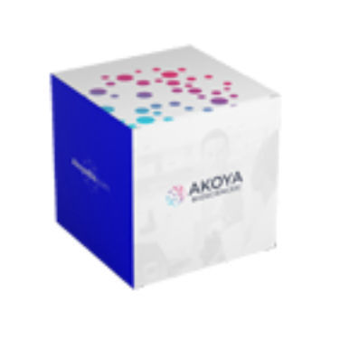 Kit de solution tampon - 7000019 - Akoya Biosciences - pour ...