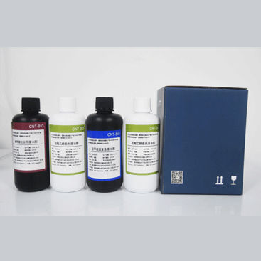 Kit de réactifs colorant - Celnovte Biotechnology Co., Ltd. - pour la ...