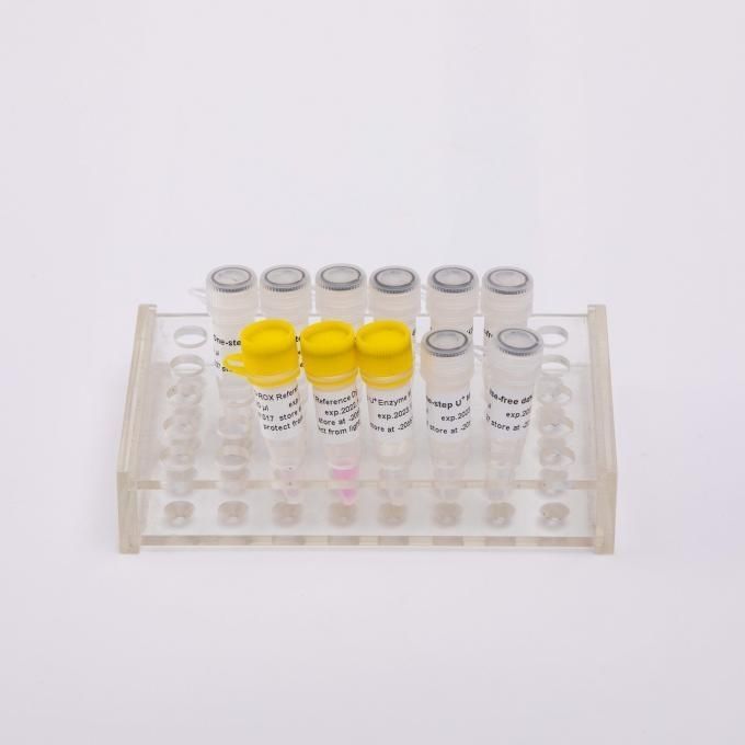 Kit de réactifs Taq polymérase - V5002 - Guangzhou Dongsheng Biotech Co ...
