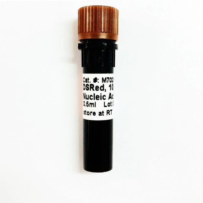 Réactif colorant - DSRed - Guangzhou Dongsheng Biotech Co., Ltd. - gel ...