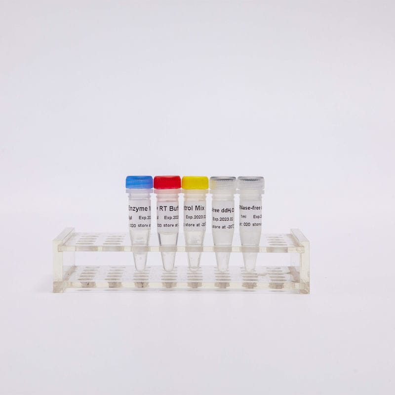 Kit de réactifs transcriptase inverse - R1031 - Guangzhou Dongsheng ...