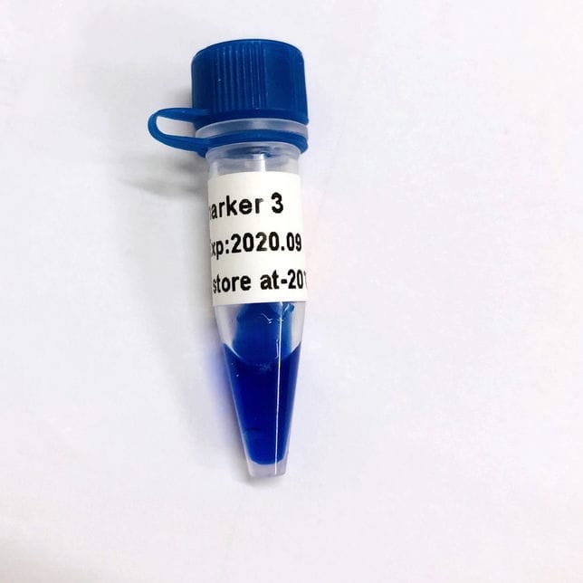 Réactif gel d'agarose - LM1041 - Guangzhou Dongsheng Biotech Co., Ltd ...