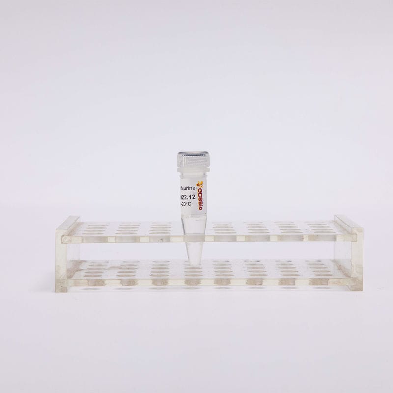 Réactif inhibiteur de RNase - R4001 - Guangzhou Dongsheng Biotech Co ...