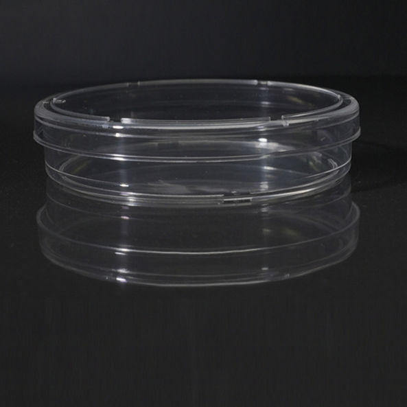 Boîte de Pétri en polystyrène - CCD-100 - Servicebio - boîte de 20