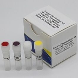 Kit de réactifs transcriptase inverse - YST0010 series - Guilin Yourui ...