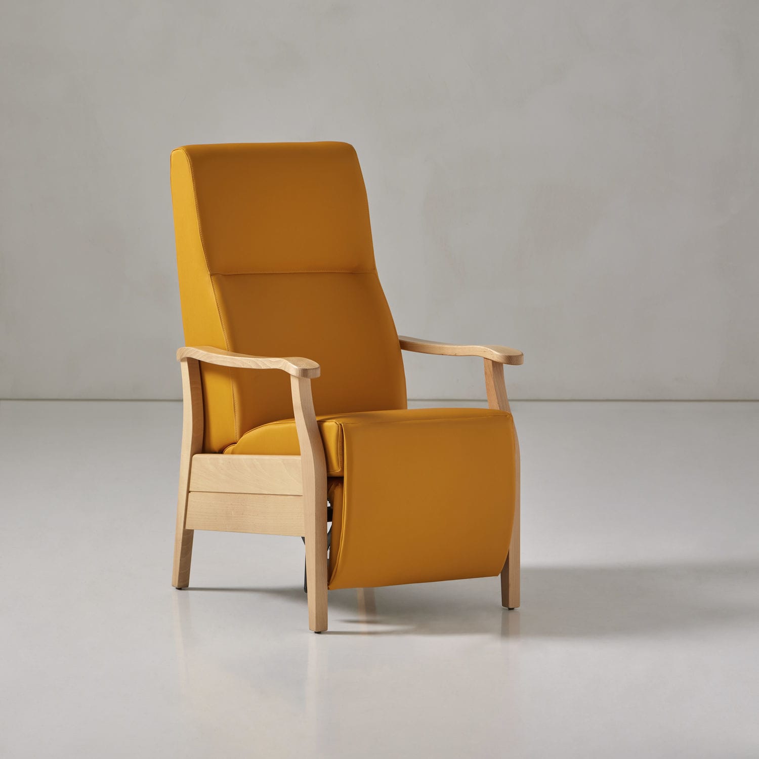 Fauteuil de repos inclinable - NEP00016TA - SENIORCARE - ergonomique / basculant / manuel