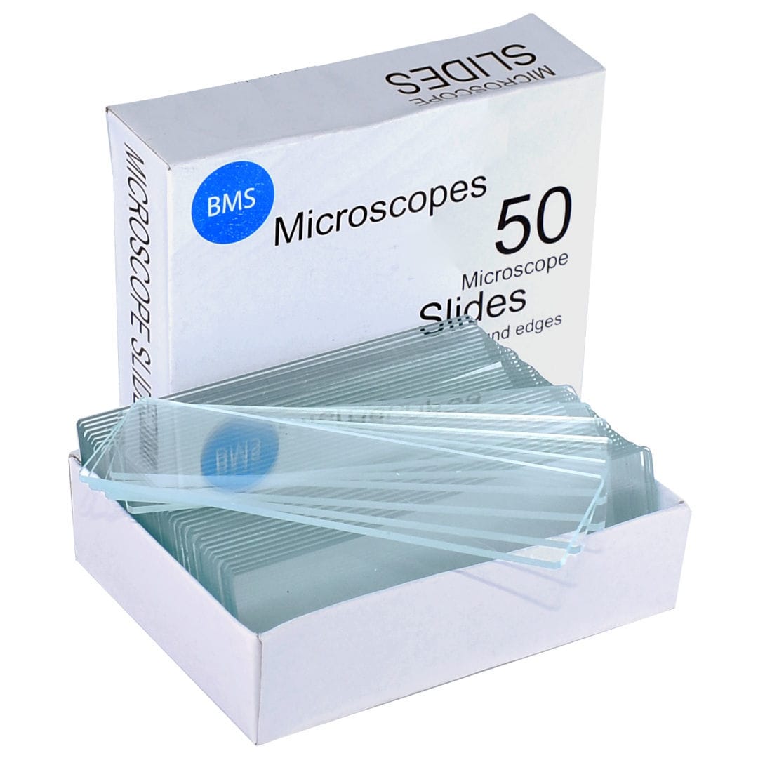 Lame de microscope - 12286 - Breukhoven