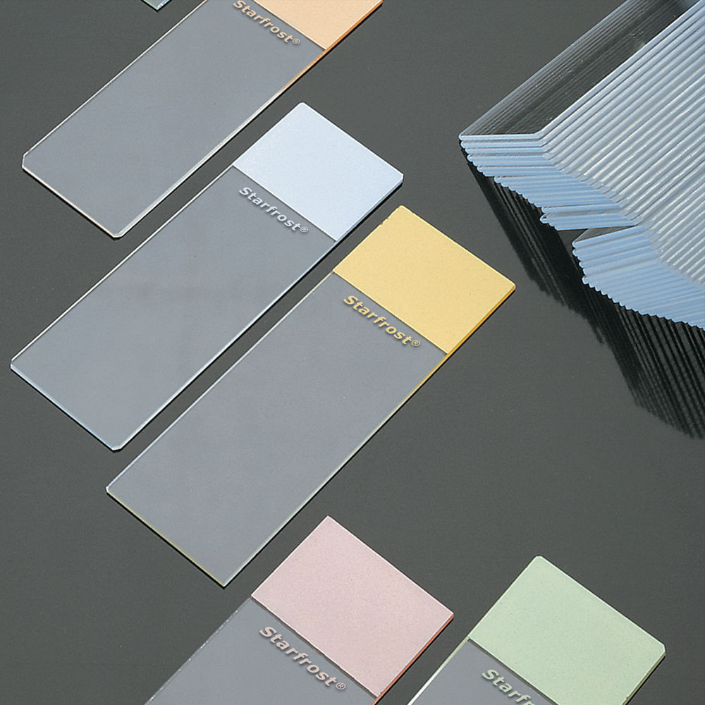 Lame de microscope - STAR FROST® - Deltalab