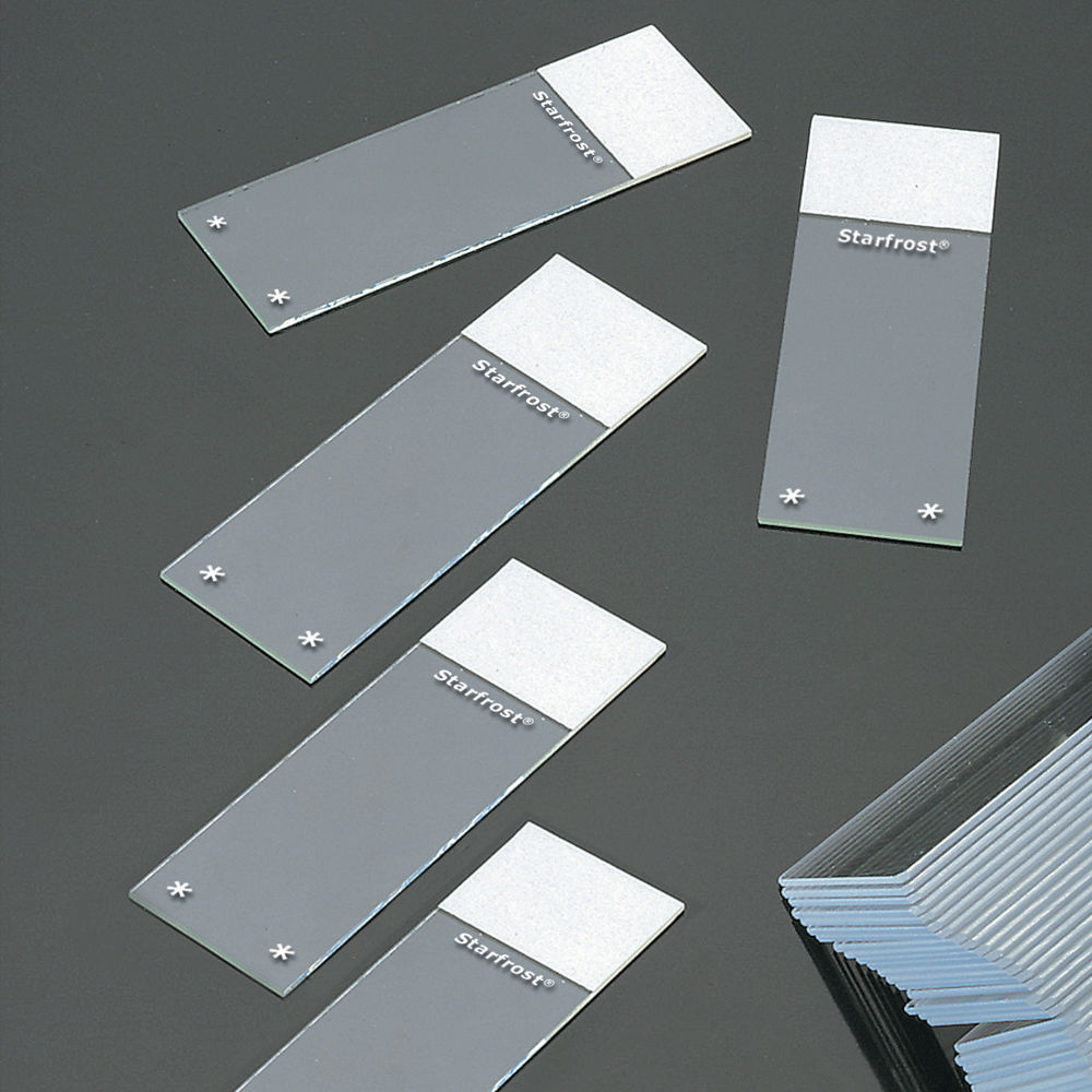 Lame de microscope hydrophobe - STAR FROST® - Deltalab