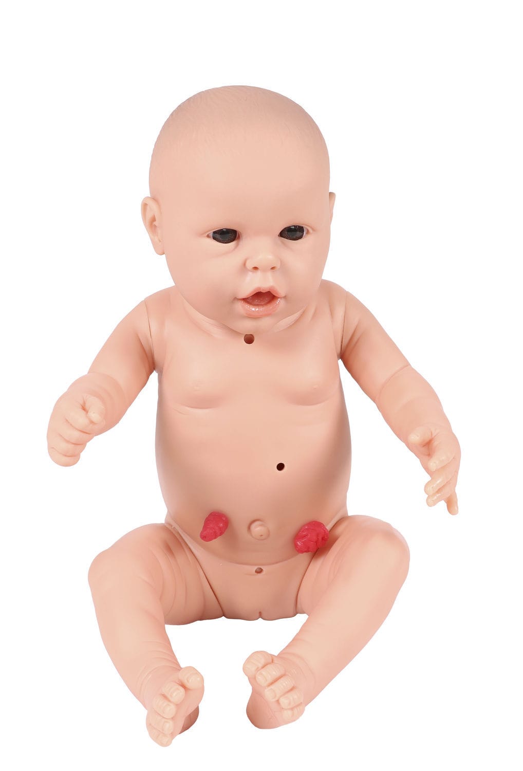 Simulateur patient de trachéotomie - BA186 - Erler-Zimmer - de ...