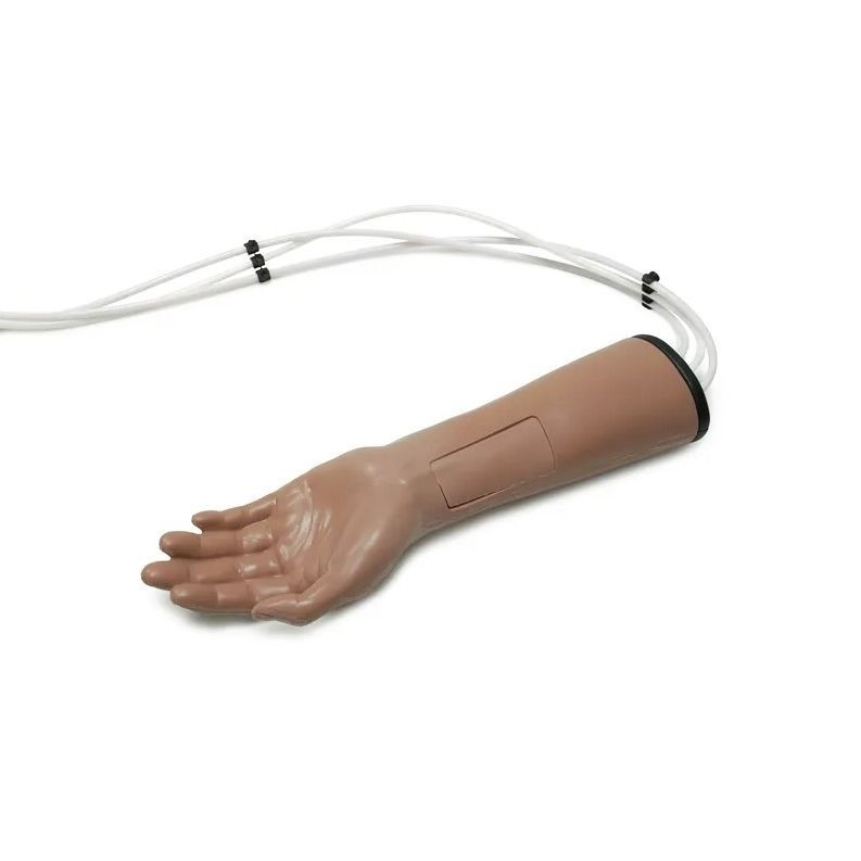 Simulateur de ponction artérielle - 72500 - Limbs & Things - de ...