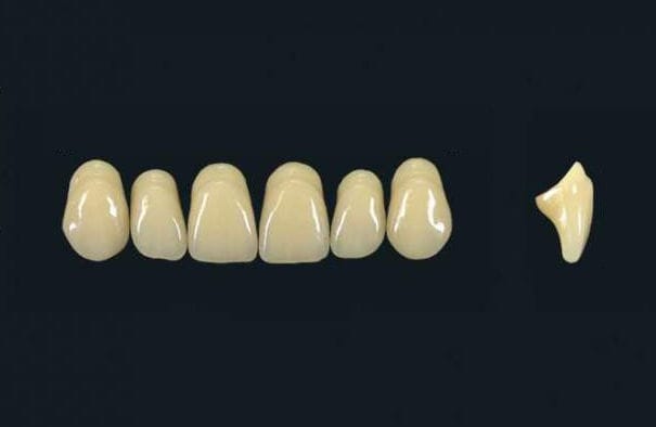 Prothèse dentaire en polymère acrylique - TRIBOS 501 T66-UJ-C2 - GEBDI ...