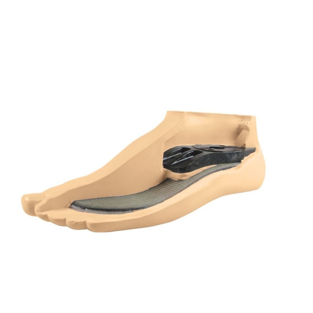 Prothèse externe de pied 3 - Impulse® - WillowWood - 4 / pour la marche ...