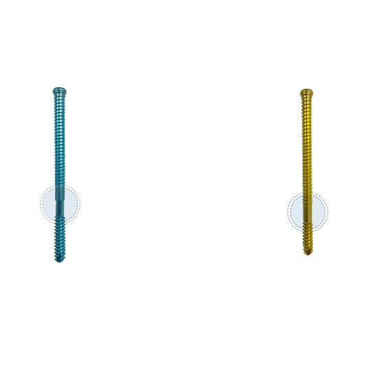 Vis de compression à os de fémur - TDM - en titane