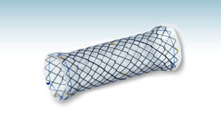 Stent trachéal - HANAROSTENT®(CCC) - M.I Tech