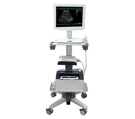 Échographe sur plateforme, compact - SS-100 Touch Screen Trolley ...