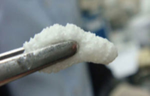 Matériau dentaire en composite - OSTEON™ Collagen - GENOSS - pour ...