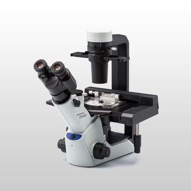 Microscope inversé - CKX53 - Evident - Olympus Scientific Solutions ...