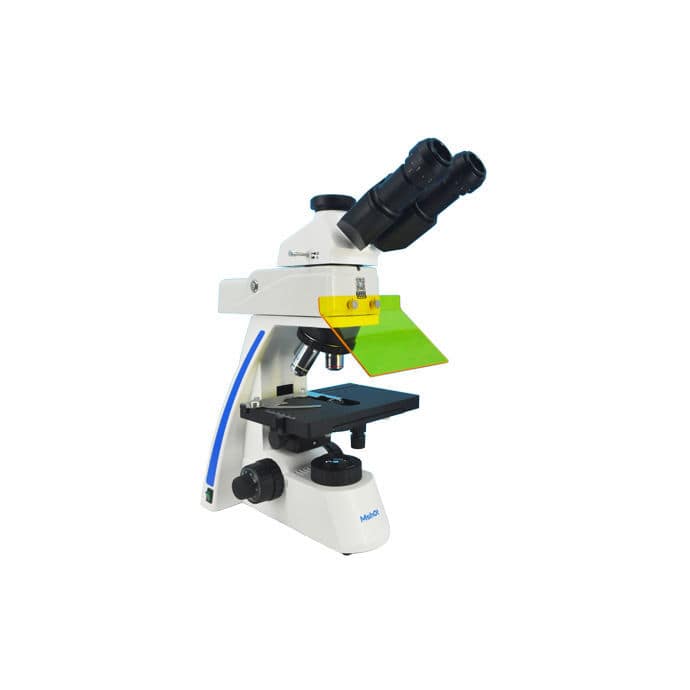 Microscope à fluorescence - MF31 - Micro-shot Technology Limited ...