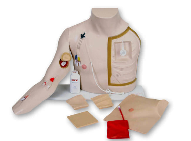 Simulateur de cathétérisme intraveineux - Chester Chest™ - VATA, Inc ...
