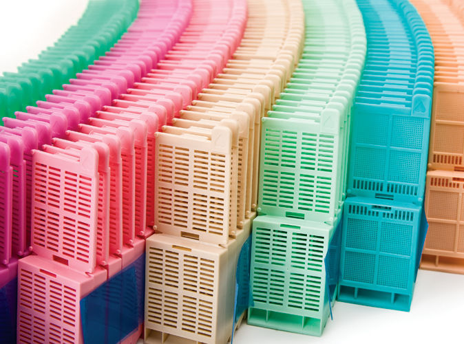 Cassette de biopsie - 3802631T - Leica Biosystems