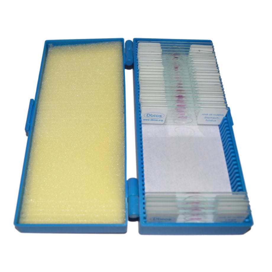 Lame de microscope - C series - DESH BIOLOGICAL WORKS