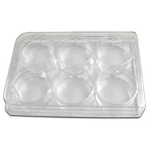 Microplaque 6 puits - Tous les fabricants de matériel médical